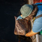 David Moreno | About | University of Tasmania