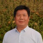 Hong Liu | About | University of Tasmania